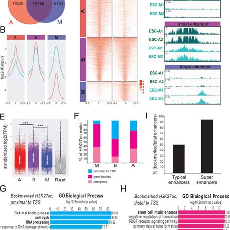 Chip Seq Experiments Reveal Distinct But Overlapping Patterns Of