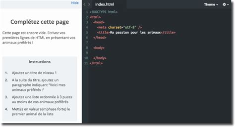 pratiquez apprenez à créer votre site web avec html5 et css3
