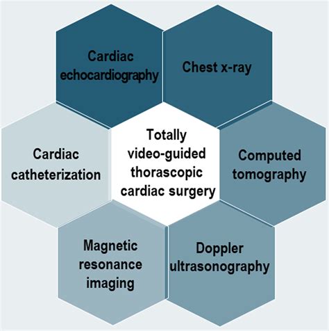Multimodality Cardiovascular Imaging For Totally Video Guided