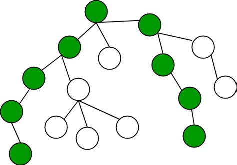 diameter of n ary tree using bfs geeksforgeeks