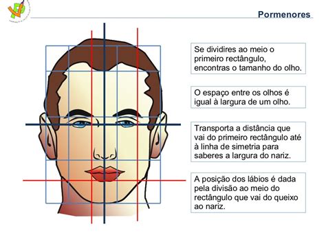 Proporções Do Rosto