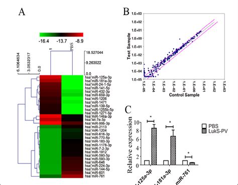Mirna Expression Profile Analysis In Luks Pv Treated Thp 1 Cells