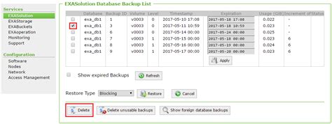 restore database instance from backup gcp exasol db documentation