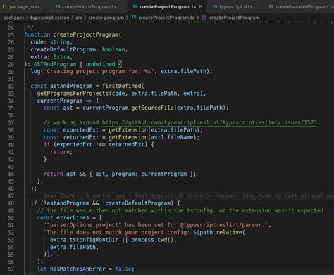 [error] parsing error parseroptions project has been set for