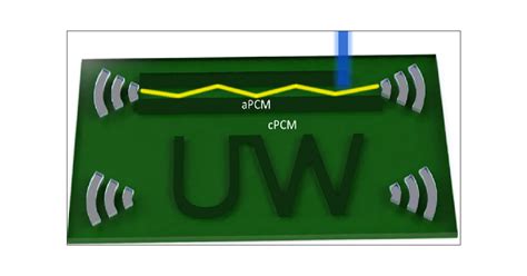 Rewritable Photonic Integrated Circuit Canvas Based On Low Loss Phase