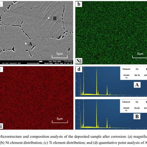 Shows The Microstructures Of Different Longitudinal Cross Sections