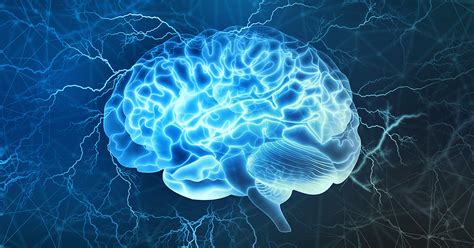 9 Neurological Disorders You Need To Know Regional Neurological