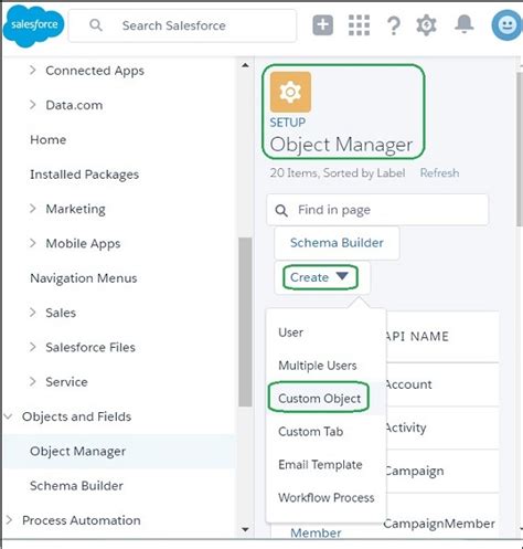 salesforce custom objects