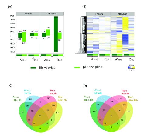 Compared Transcriptomic Profiles Under Different Alkalinity Treatments