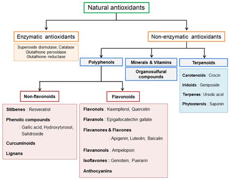 Classification Of Natural Antioxidants Natural Antioxidants Are