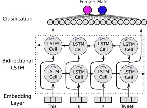 Bi Lstm Architecture For Gender Classification In A Tweet Download