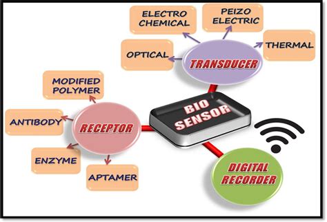 Schematic Of Biosensor And Its Associated Components Download