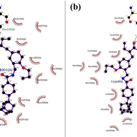Illustration Of Ppar α Docking Binding Pocket The Highlighted Helices