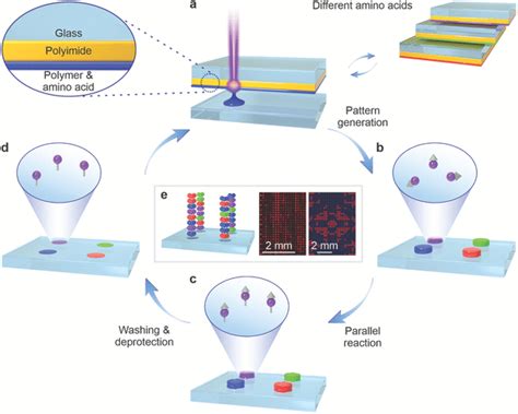 Principle Of The Laser‐based Peptide Microarray Synthesis A Material