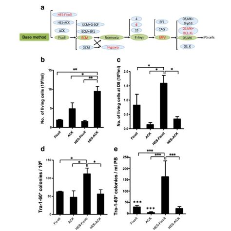 Human Ipscs Generated From Pb With The Optimized Protocol Download Table