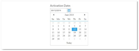 datepicker shield ui