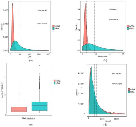 Ijms Free Full Text Genome Wide Analysis Of Long Noncoding Rnas In