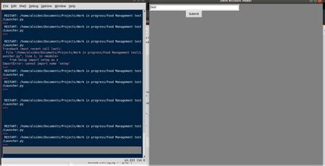 tkinter entry returns blank when called from another script but works