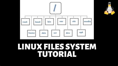 linux file system explained youtube