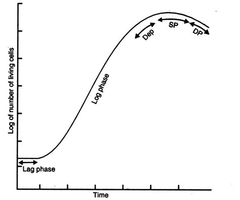 Cultures Of Microorganisms Biotechnological Importance In Microorganisms
