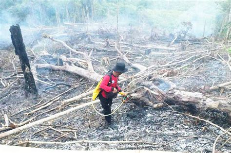 Waspada Ini Prediksi Bmkg Tentang Dampak El Nino Di 2023 Koran