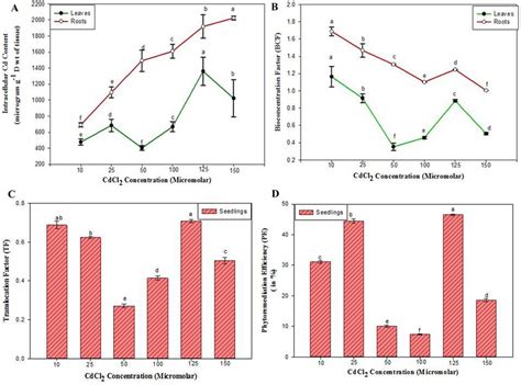 Intracellular Cd Content A Bioconcentration Factor B