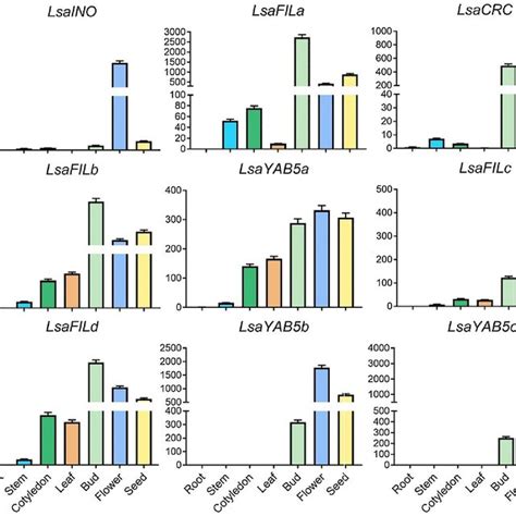 Functional Characterization Of Lsayab Genes The Relative Expression