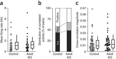 Adult Nr1 Deletion Did Not Alter Firing Rate Or Synchronous Firing Of
