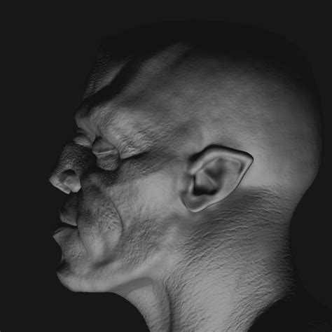 Vova Paukov 3d Artist Head Sketch 02