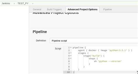 jenkins pipeline run python script stack overflow