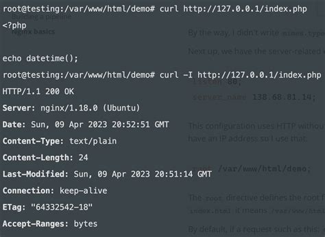 devops with laravel cgi fastcgi php fpm nginx