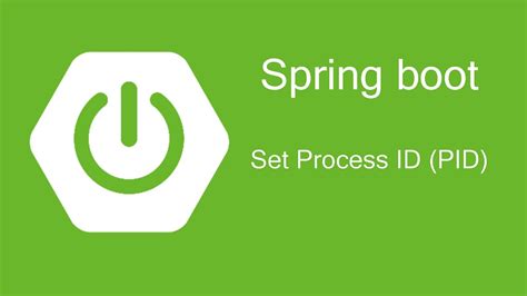 spring boot set process id pid youtube