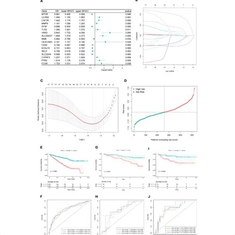 Construction Of Prognostic Signature Based On Nets Related Genes A