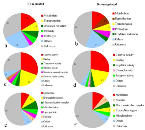 Pie Chart Representation Of Gene Ontology For Genes Differentially