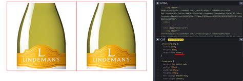 html how to make image responsive in flexbox with set