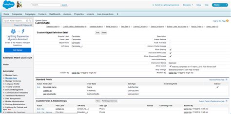 fields in salesforce salesforce learner