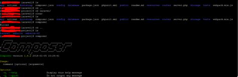laravel cannot run composer command in project root stack overflow