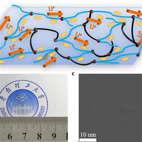 A Schematic Representation Of The Hyperbranched Copolymers Based Spe
