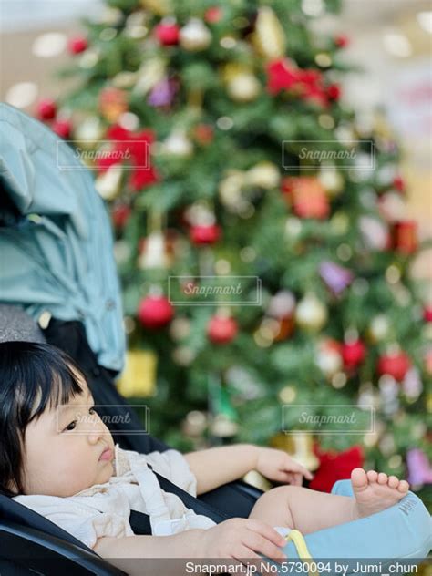 ツリーと女の子の写真・画像素材[5730094] Snapmart（スナップマート）