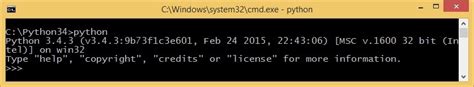 interactive prompt python