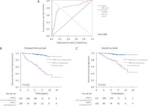 Parp 1 Overexpression Threshold And Prognostic Significance In The