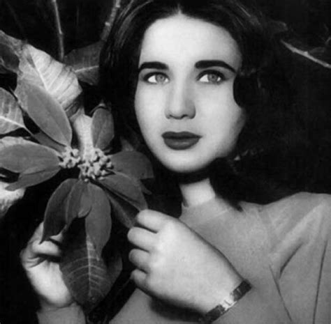 الوطن فن وثقافة حياة الفنانة زبيدة ثروت في 20 صورة