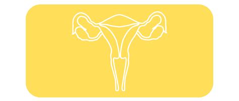 Kegelbell Innie Vs Outie Vagina Explained Milled