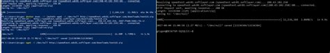 very slow speeds pia · issue 285 · haugene docker transmission