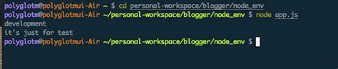polyglot [node js] node js 환경변수 process env node env 에 대한 이해 및 사용