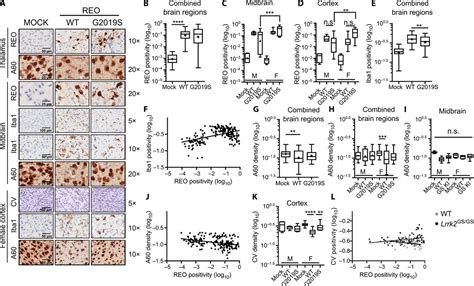 Lrrk2 Alleles Modulate Inflammation During Microbial Infection Of Mice