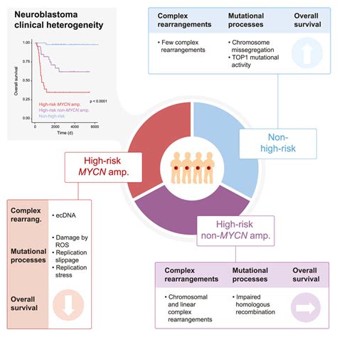 Mutational Topography Reflects Clinical Neuroblastoma Heterogeneity