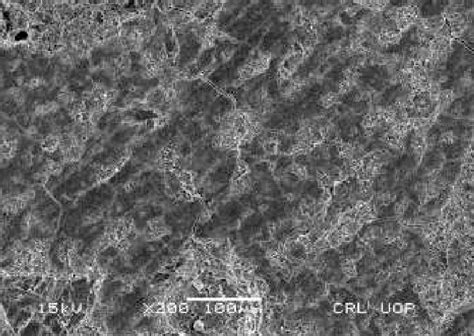 Sem Results Of Control Concrete Sample Download Scientific Diagram
