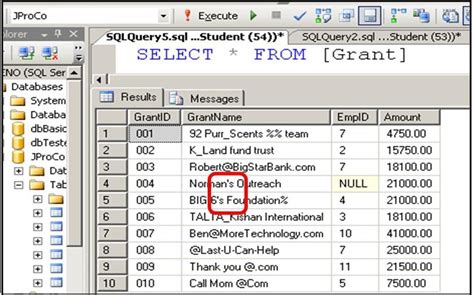 sql server tips from the sql joes 2 pros development