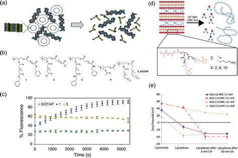 A Supramolecular Assembly Between Dna And Multi‐walled Vesicles Of A